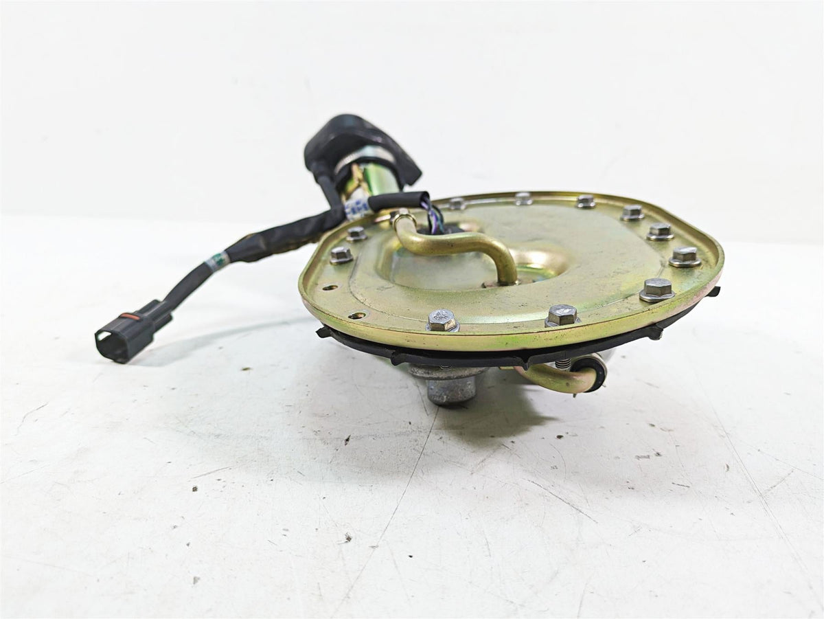 2011 Triumph America Fuel Gas Petrol Pump - Tested T2406008 T2403135 ...